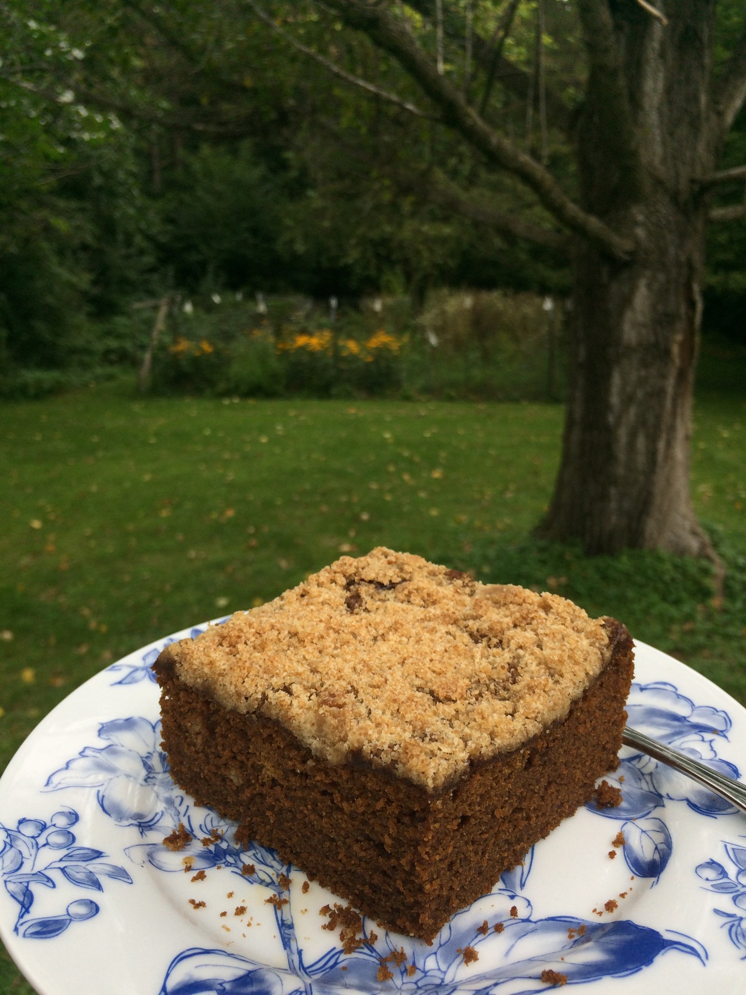 Amish shoo-fly cake